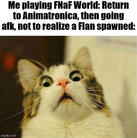 Fnaf Cat Memes Springtrap Memes Five Nights At Freddys Amino