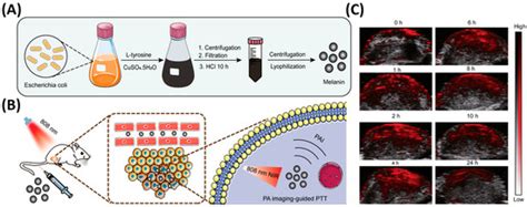 Biosensors Special Issue Feature Issue Of Optical And Photonic Biosensors Section Volume Ii