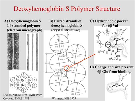 Ppt Red Cell Disorders Powerpoint Presentation Free Download Id
