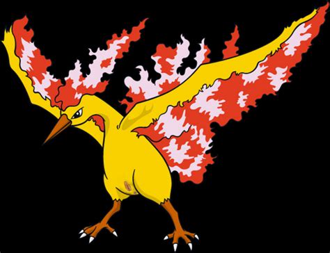 Rule 34 Anus Color Female Female Only Feral Fire Moltres Pokemon Solo