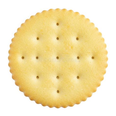 A Single Round Cracker With Small Holes Evenly Spaced On A White