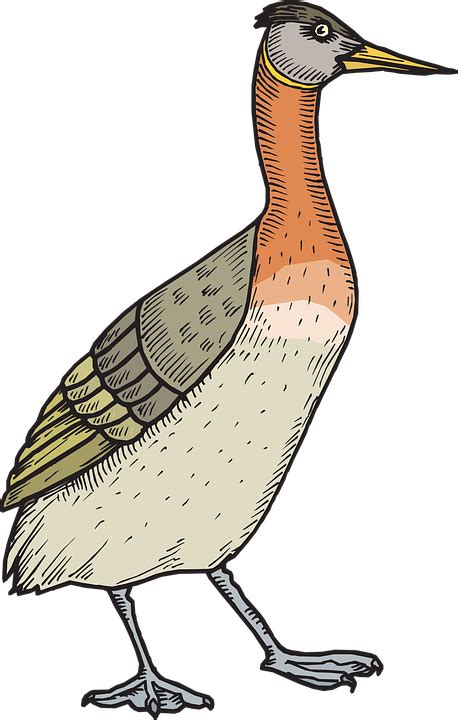 Bebek Vector Png 58 Koleksi Gambar