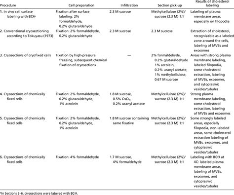Summary Of Applied Protocols For Cholesterol Labeling A Download Table