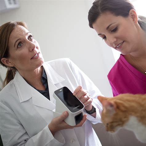 Snap Pro Analyzer Idexx Canada