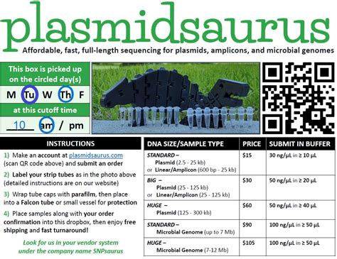 Plasmidmicrobe Sequencing