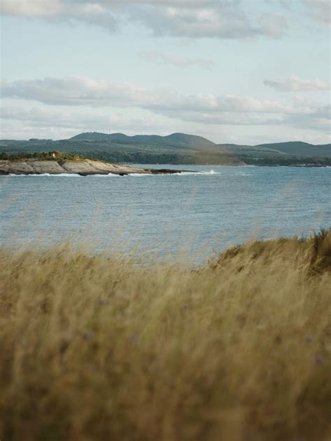 Grass Foreground Photos Download The Best Free Grass Foreground Stock