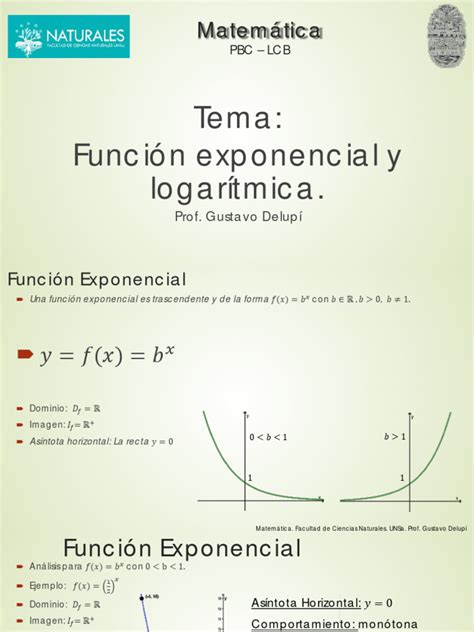 Función Función Exponencial Y Logarítmica Pdf Logaritmo Función
