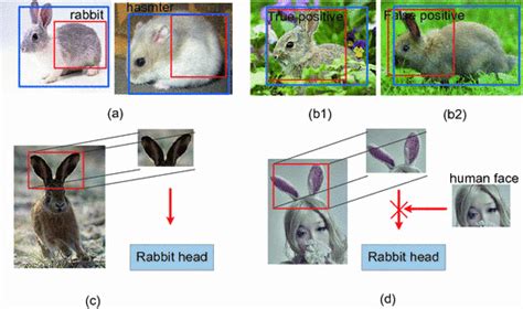 Illustrate The Motivation Of Passing Messages Among Features From Download Scientific Diagram