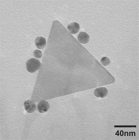 Dna‐gold Triangular Nanoprism Conjugates Millstone 2008 Small