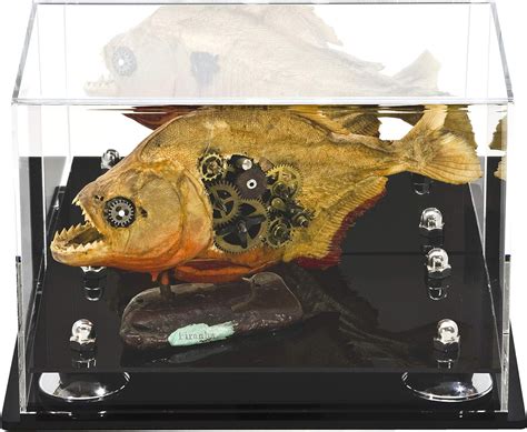 Versaile Display Case Small Recangle Box Wih Silver Risers Mirror And