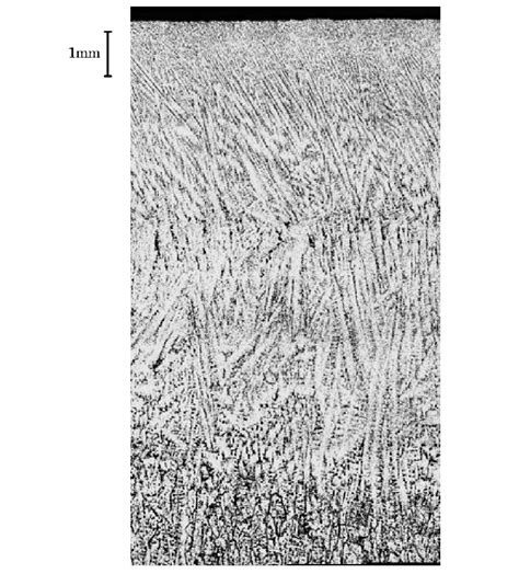 Dendrite Structures Near The Surface Of A Slab Cast At 50 Mmin By Download Scientific Diagram