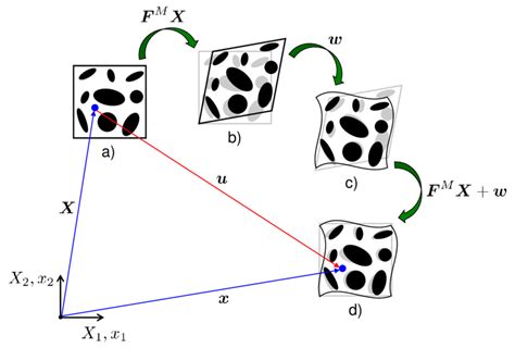Schematic Representation Of The Deformation Stages In The Ruc A Download Scientific Diagram