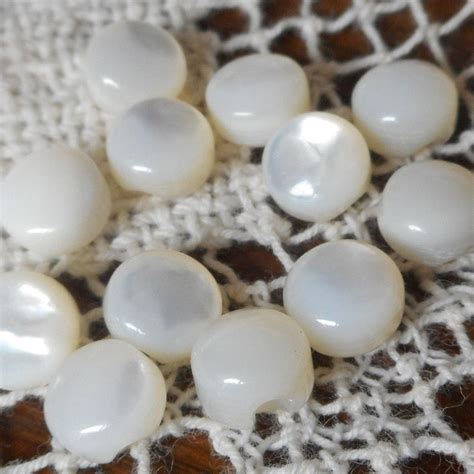 Tiny White Shells Etsy Tiny White Shells Etsy