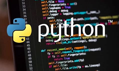 10 Basic Python Terms Every Programmer Should Know Techmag