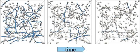 Example Of The Time Evolution Of The Dynamics Of A Colloidal