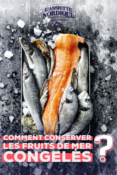 Lassiette Nordique Conseils Pour Conserver Les Fruits De Mer Surgelés