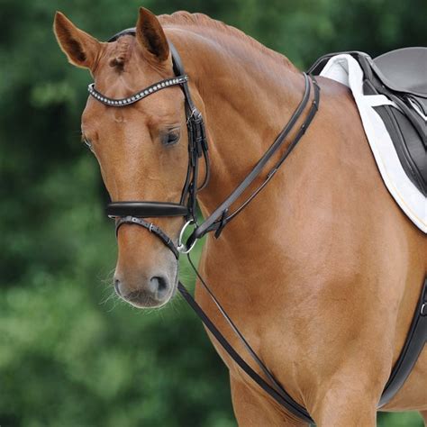 Riendas Para Caballo Riendas Byron Con Mosquetón Passier Lopetzki
