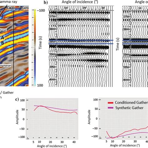 Comparison Between The Conditioned And The Synthetic Seismic Data At
