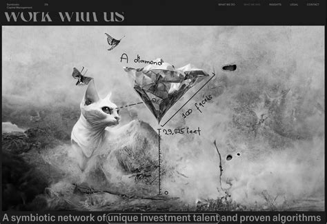 Symbiotic Identity And Website — Arro Design And Custom Software