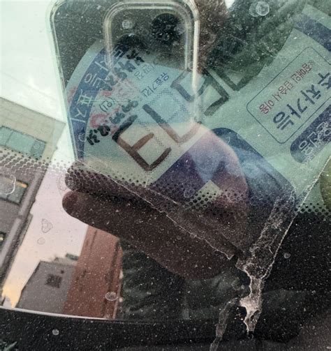 얘 장애인 주차스티커 위조 맞제 자동차 에펨코리아