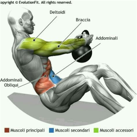Russian Twist Muscles Worked