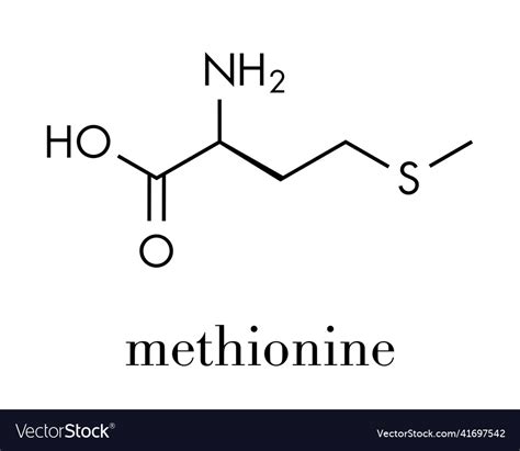 Structure Of Methionine