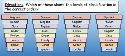 Solved Directions Which Of These Shows The Levels Of Classification