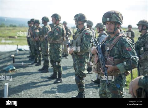 Albanian Armed Forces Hi Res Stock Photography And Images Alamy