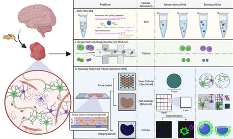 Schematic Of Cell Type Driven Integration In Gene Expression Space