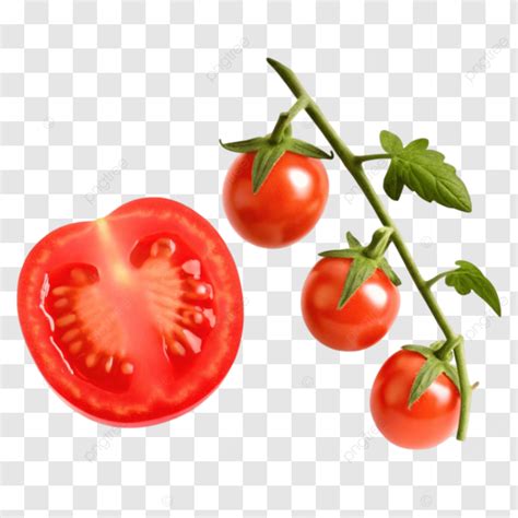 Tomato Slice Clip Art Cherry On Vine Clipart Tomato Slice Cherry On