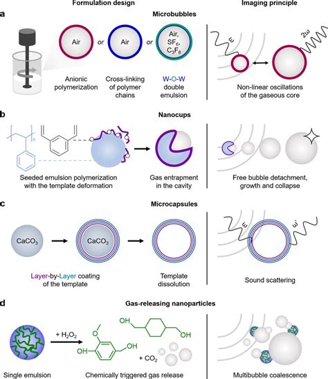 Polymeric Material Designs And Their Us Imaging Principles A