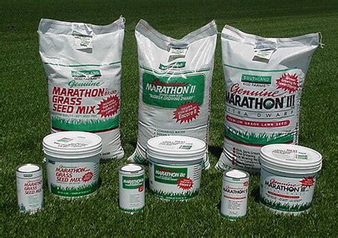 Marathon Grass Seed Louies Nursery And Garden Center