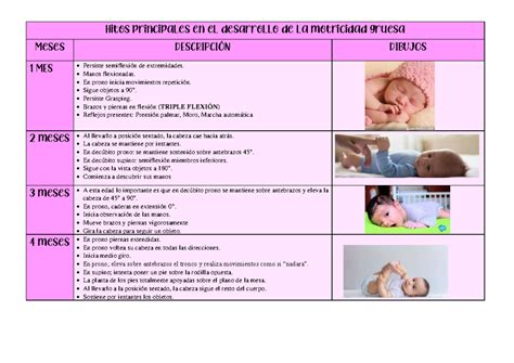 Tabla De Hitos Del Desarrollo De Motricidad Gruesa Melany Huanqui