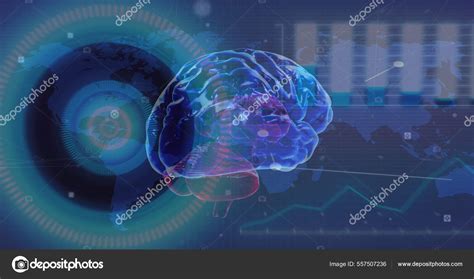 Image Human Brain Data Processing World Map Global Science Business