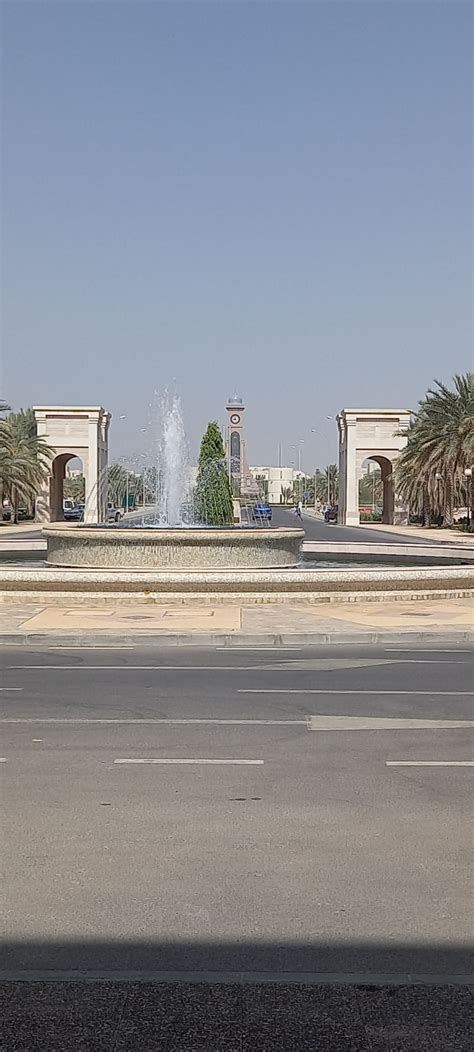 Victoria Mceniery On Linkedin Squ Otagointernational