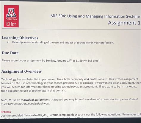 Solved Mis 304 Using And Managing Information