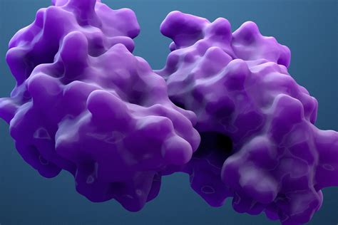 Single Molecule Spectroscopy — The Schlau Cohen Lab