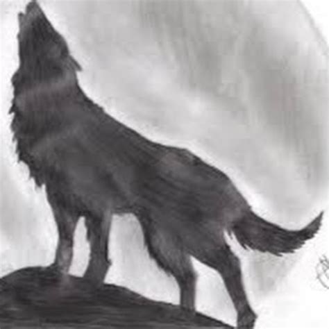 Daniel Maximo Arias Youtube