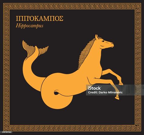 Hippocampus Stock Illustration Download Image Now Ancient Ancient