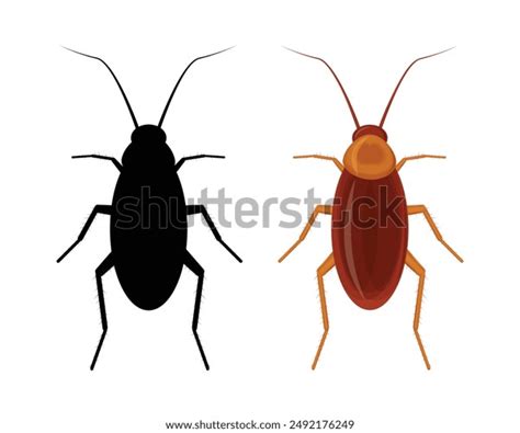 Cockroach View Above Image Cockroach Form Stock Vector Royalty Free