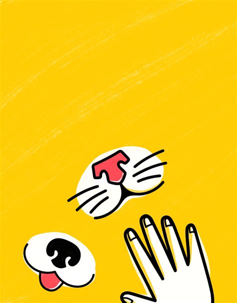 Le 10 Razze Di Cani Piccoli Ecco Quali Sono