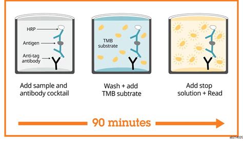 Anti Thrombomodulin Antibody Pbs 01 Ab6980 Abcam