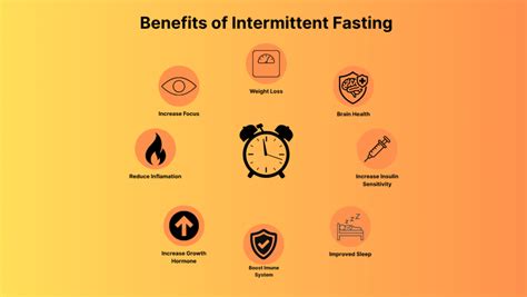 Intermittent Fasting 101 Complete Beginners Guide 2025