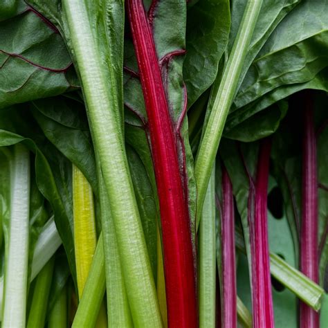 The Button Pushers Added A New Photo The Button Pushers