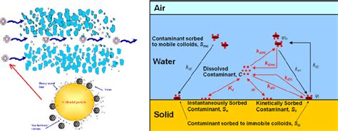 Schematic Of The Colloid Facilitated Solute Transport Model Download