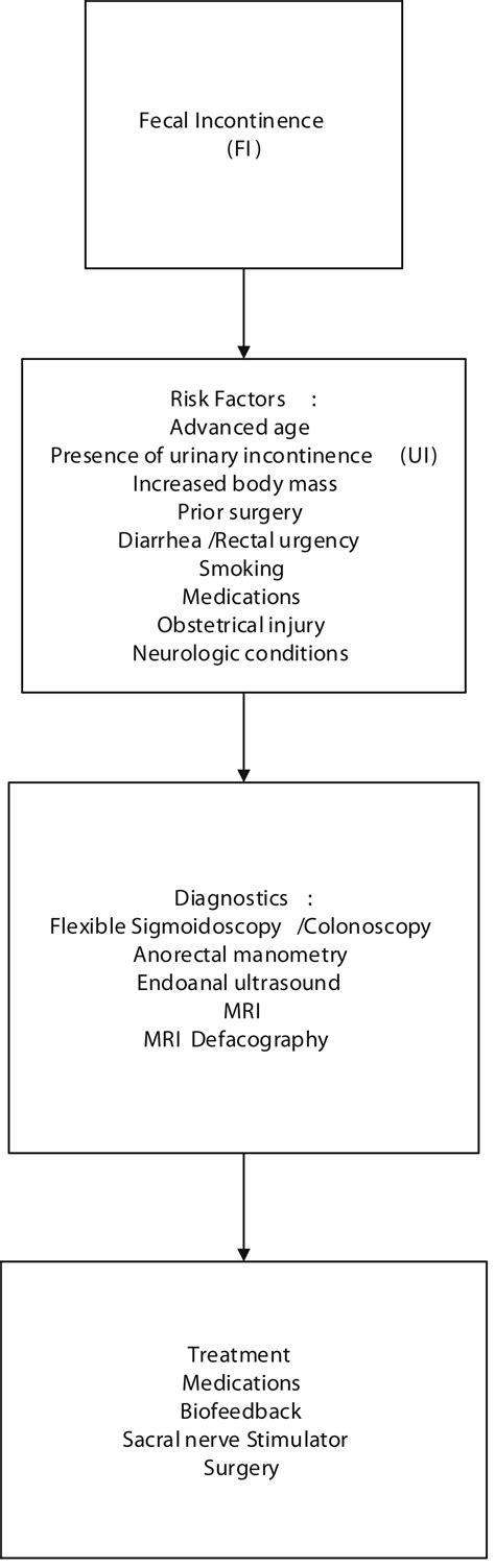 Fecal Incontinence A Stepwise Approach To Primary Care Management