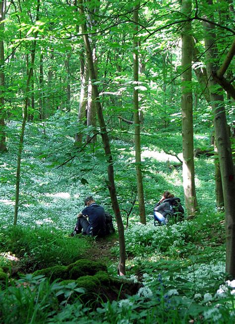 Contemplation In Nature Sensio Divina And Listening To God Through
