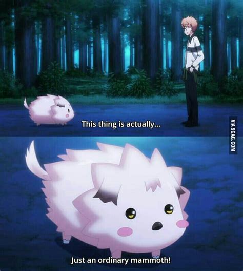 Why No Love For Chibi Moth Best Character This Season Anime Is Rewrite 9gag