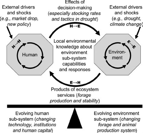 Schematic Of The Interactions Between The Human And Environmental