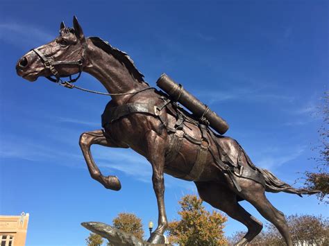 Sergeant Reckless Texas History Notebook